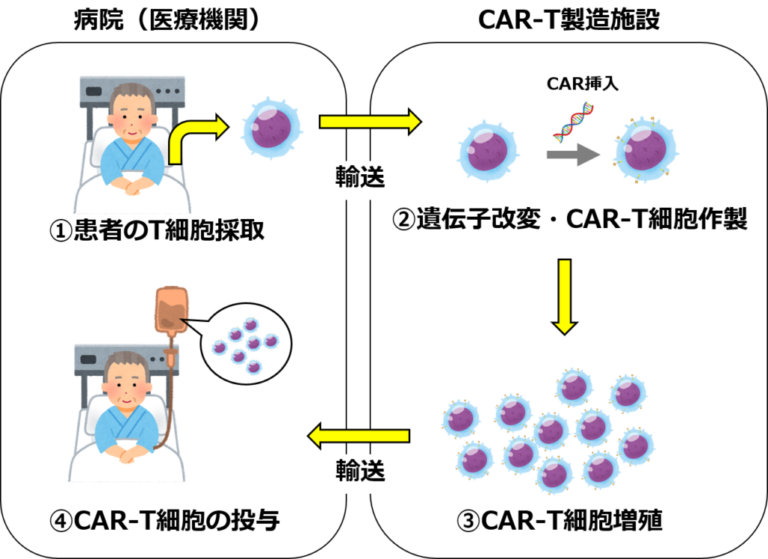 【詳説】CAR-T細胞療法の原理と企業による開発の最先端 ～ユニバーサルCAR-Tが費用の問題を解決|TechnoProducer株式会社|