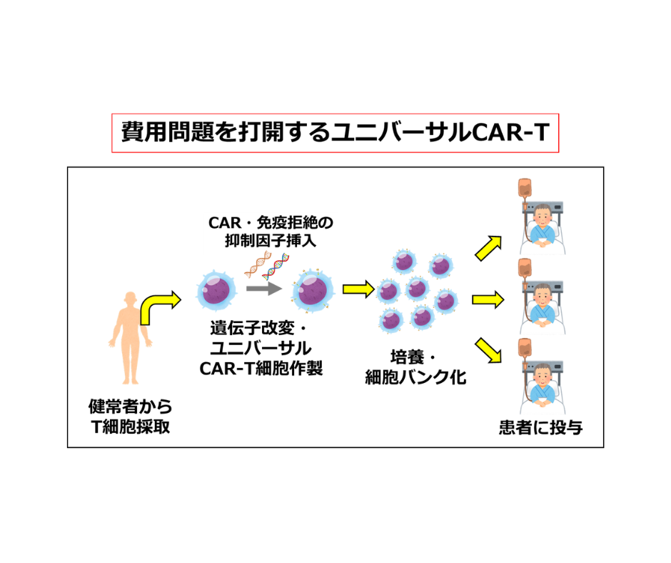 【詳説】CAR-T細胞療法の原理と企業による開発の最先端 ～ユニバーサルCAR-Tが費用の問題を解決|TechnoProducer株式会社|